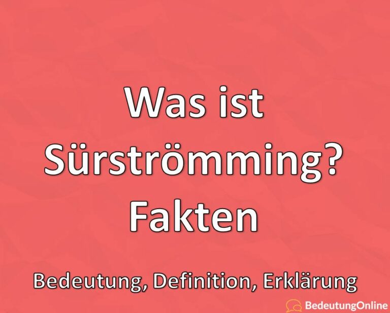 Was ist Surströmming? Fakten, Bedeutung, Definition, Erklärung ...