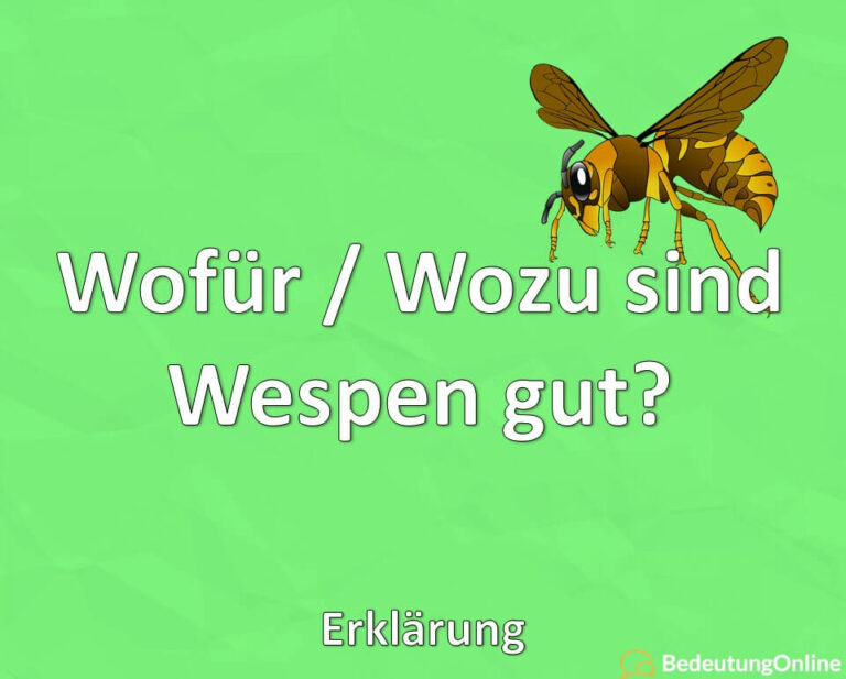 Wofur Sind Wespen Gut