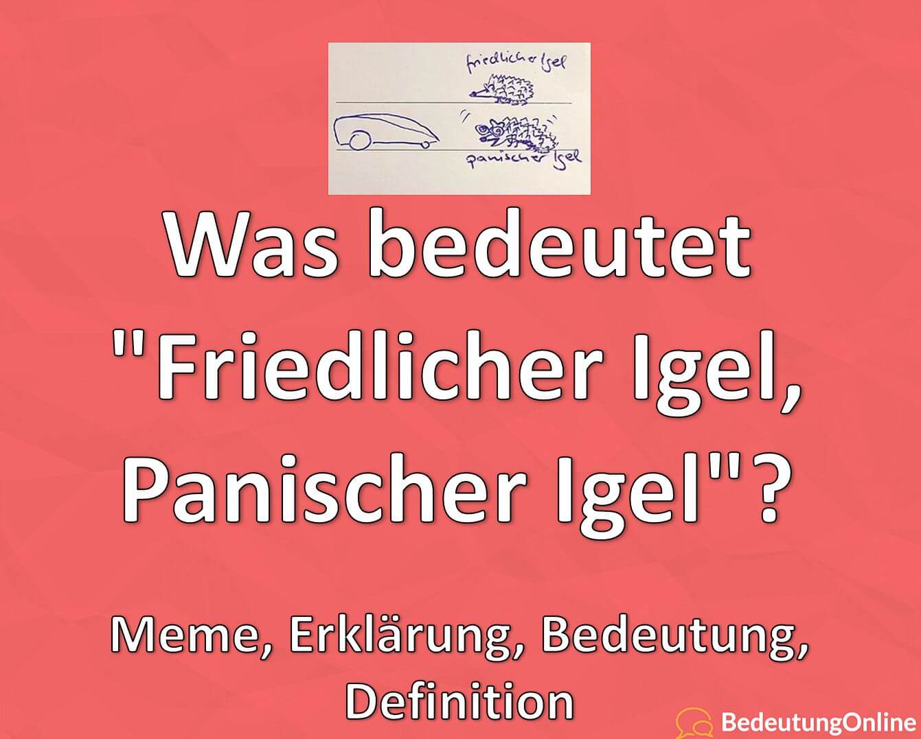 Was bedeutet "Friedlicher Igel, Panischer Igel"? Meme, Erklärung ...