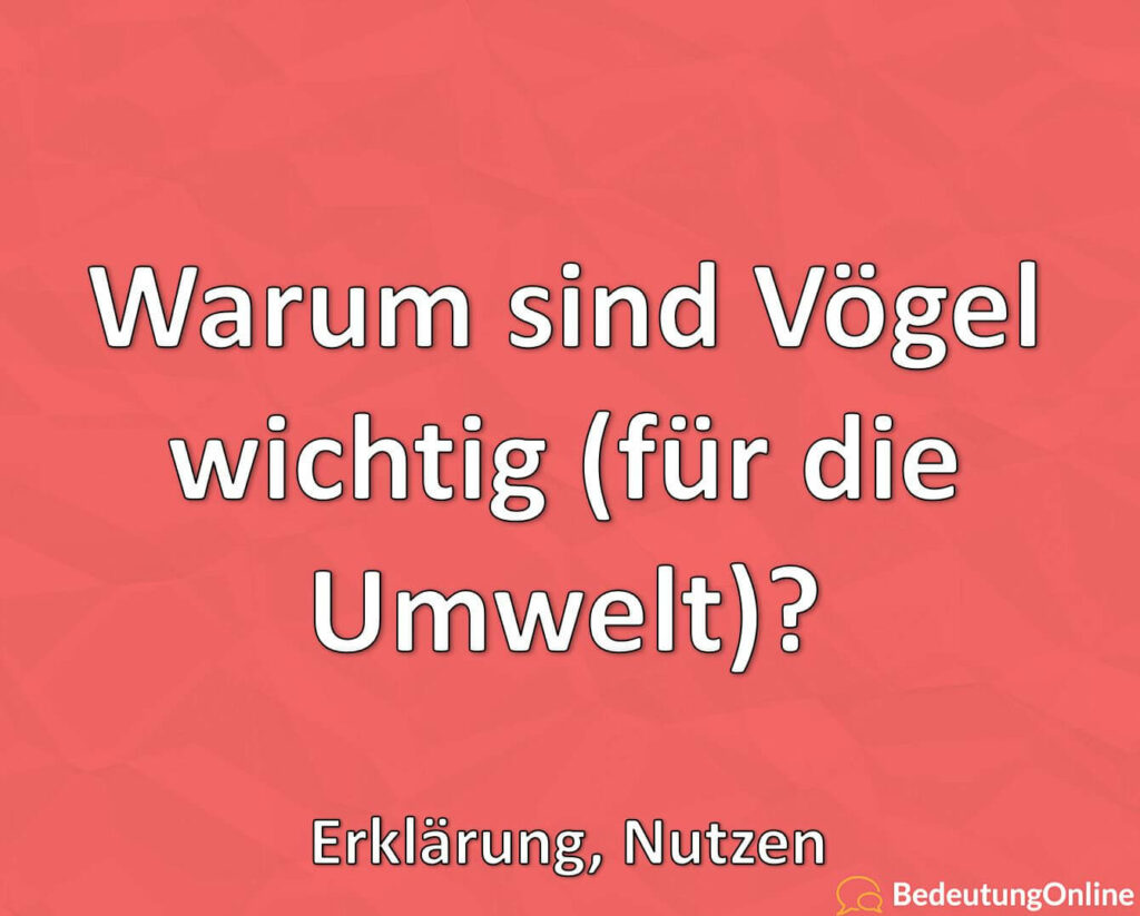 Warum sind Vögel wichtig (für die Umwelt)? Erklärung, Nutzen ...