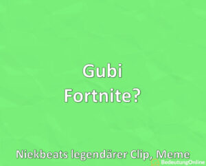 Gubi Fortnite? Niekbeats legendärer Clip, Meme erklärt - Bedeutung Online