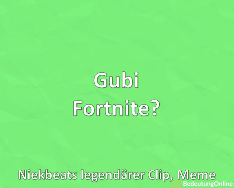 Gubi Fortnite? Niekbeats legendärer Clip, Meme erklärt - Bedeutung Online